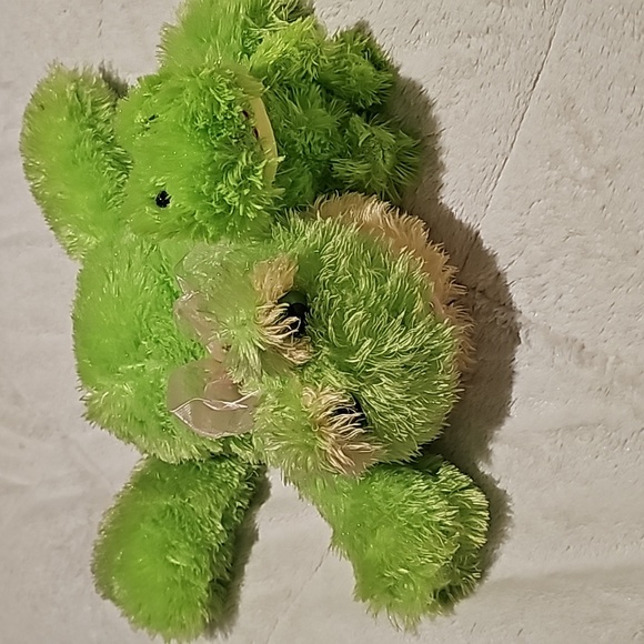 Caltoy | Toys | Fuzzy Frog And Friend Stuffed Animal | Poshmark